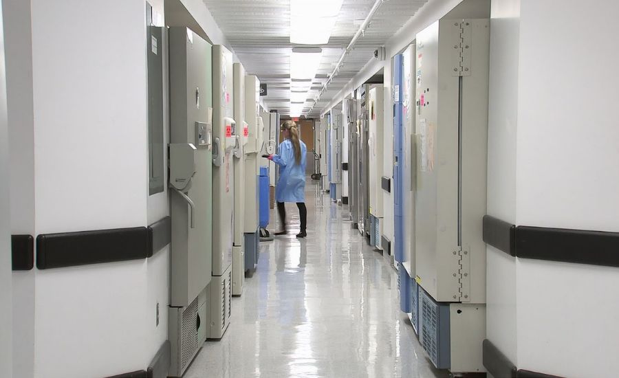 How To Protect Glass Hospital Windows from Human Impacts